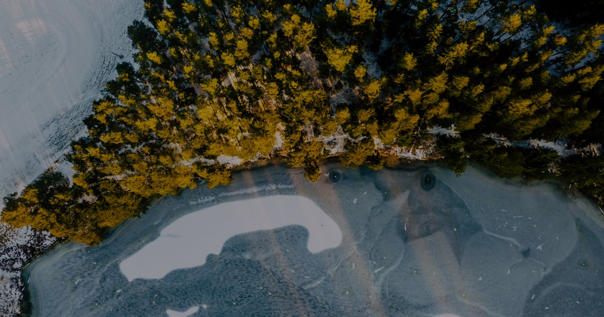 Allurity - Trill Impact