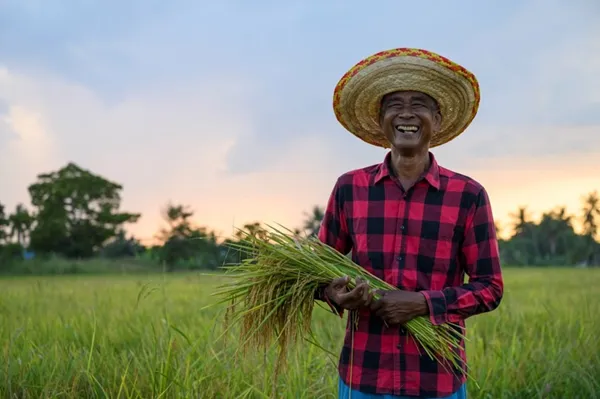 News and insights - Impact investing | Trill Impact